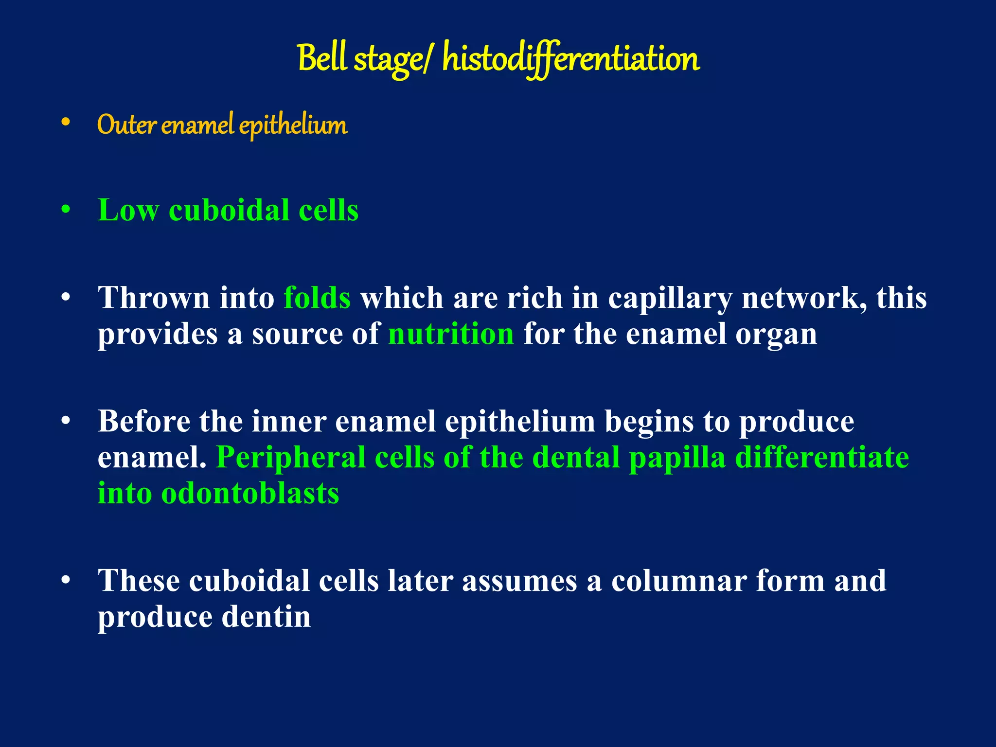 development and growth of teeth | PPTX