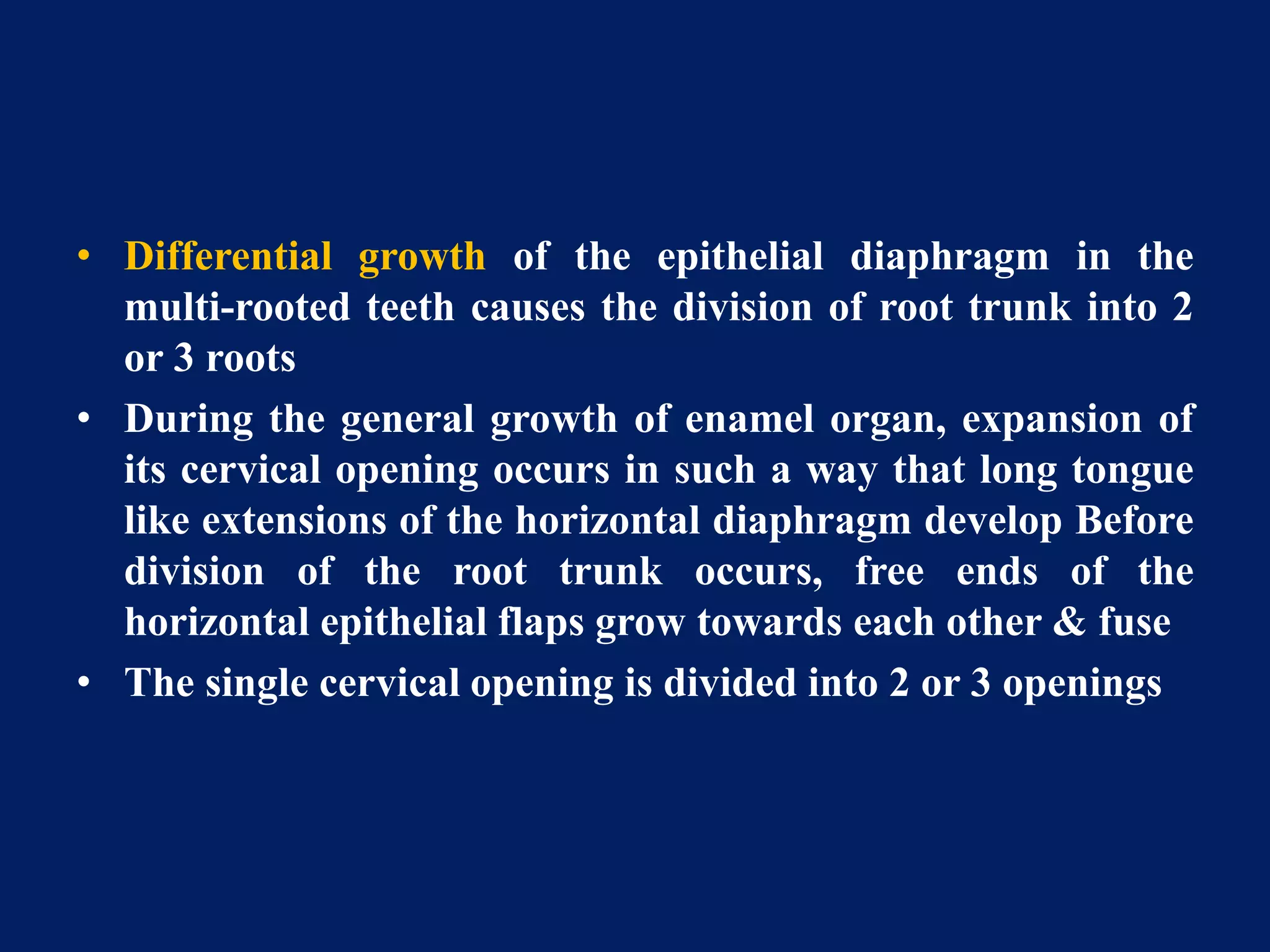 development and growth of teeth | PPTX