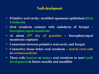 development and growth of teeth | PPTX