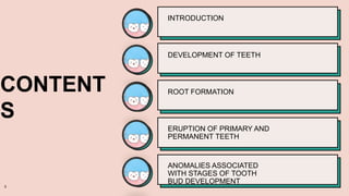tooth development.pptx