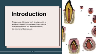tooth development.pptx