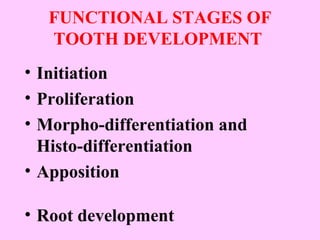 Tooth development med.gen.engl