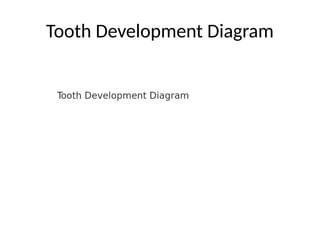 Tooth Development and Dental Stages.pptx