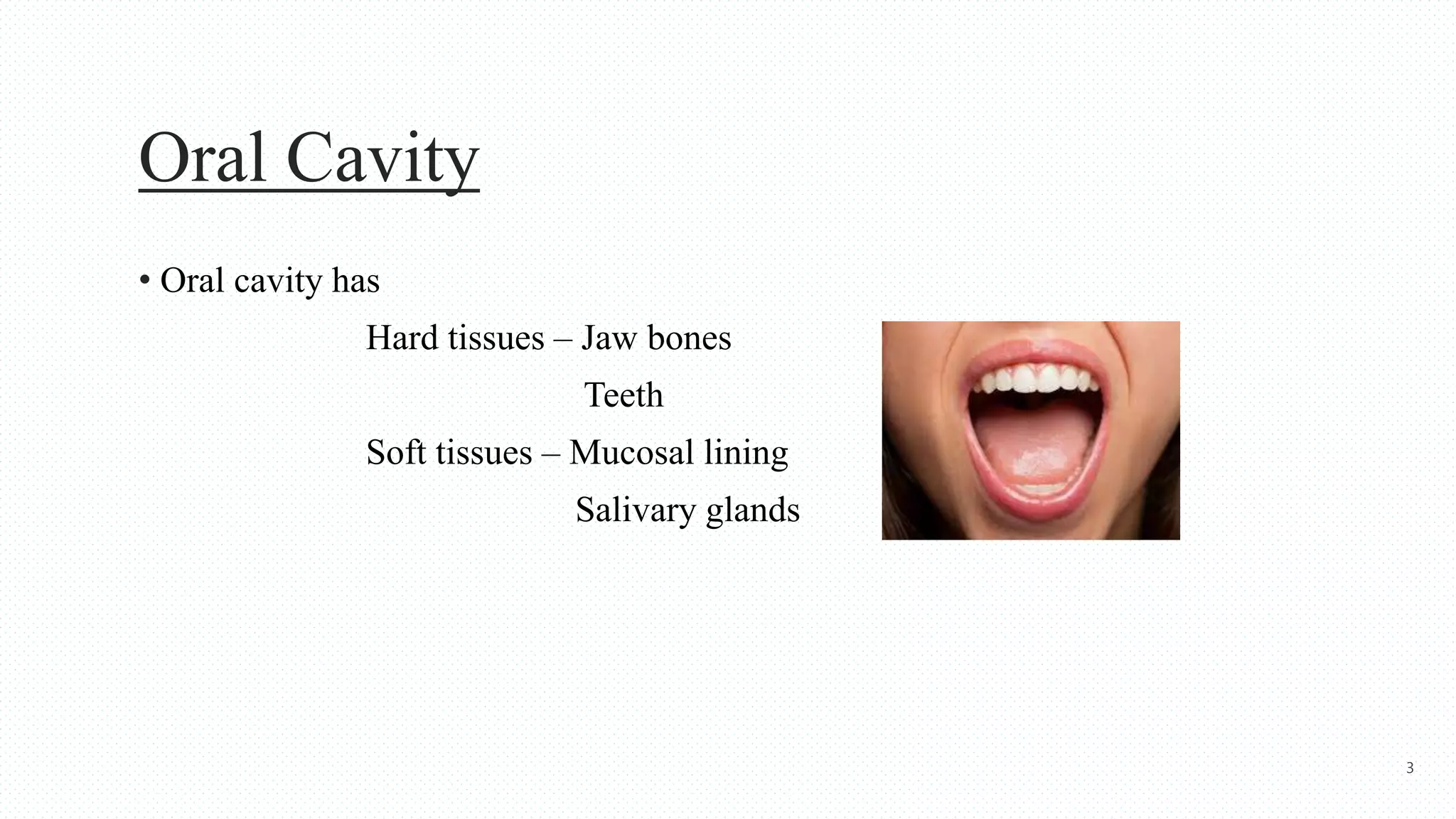 Tooth development and its abnormalities | PPTX | Dental Health ...