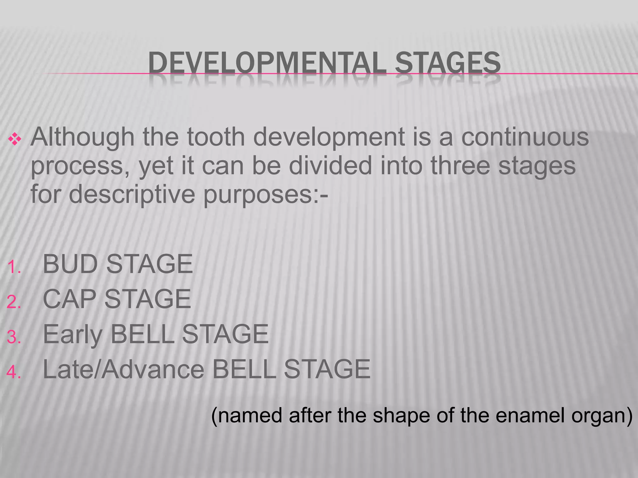 Tooth Development & Molecular aspect | PPTX