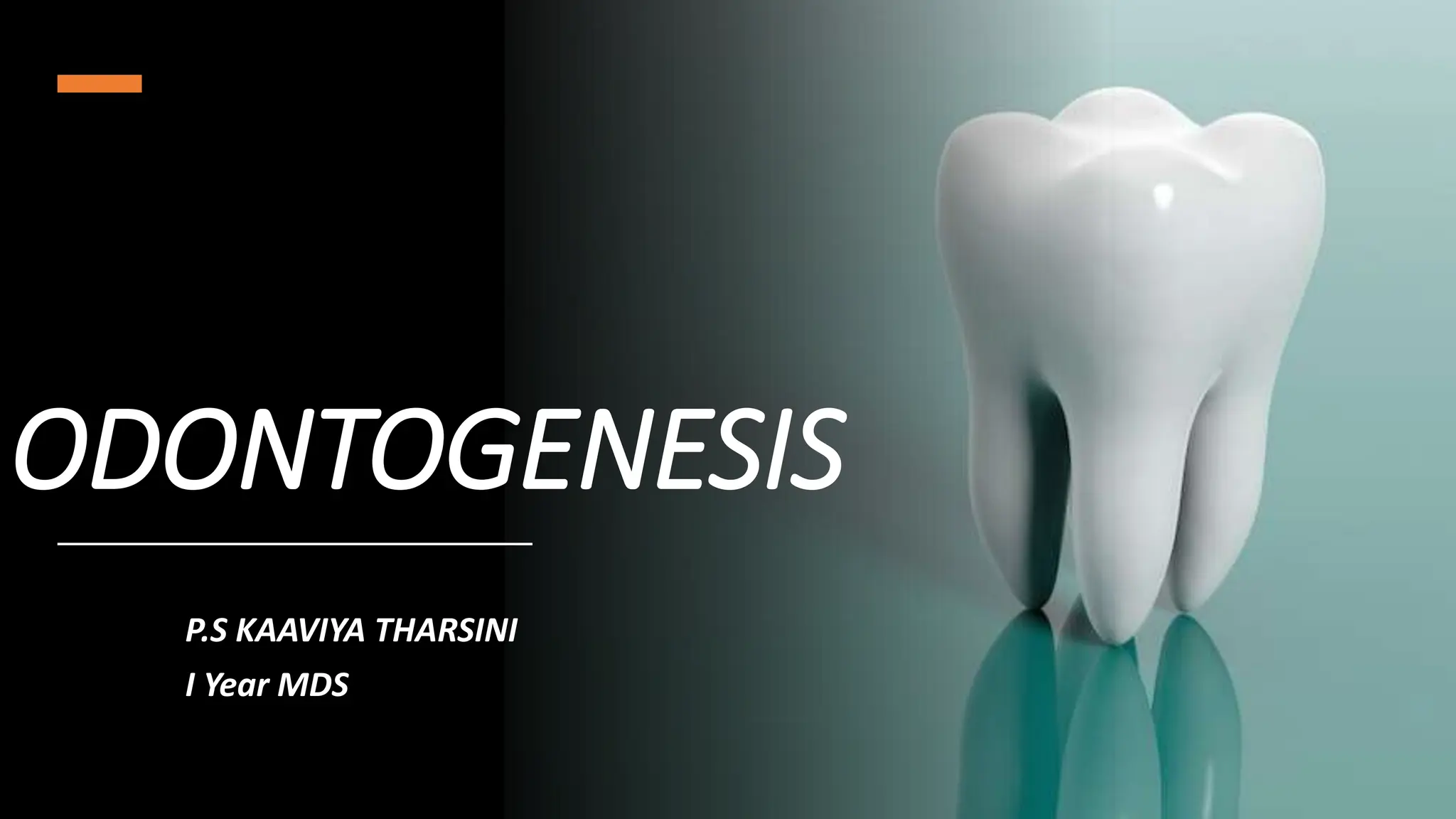 Tooth development along with clinical importance - Oral histology | PPTX