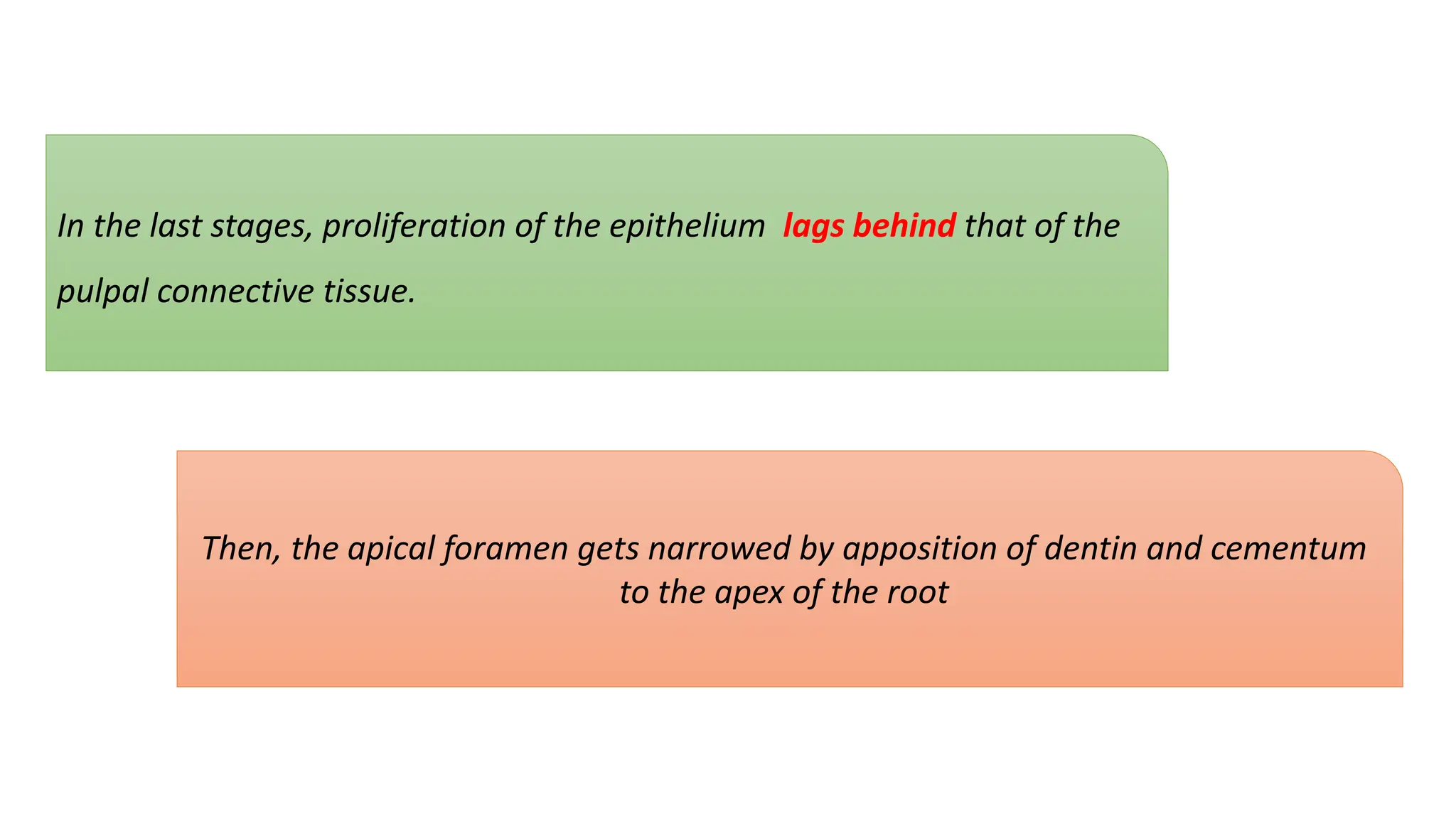 Tooth development along with clinical importance - Oral histology | PPTX