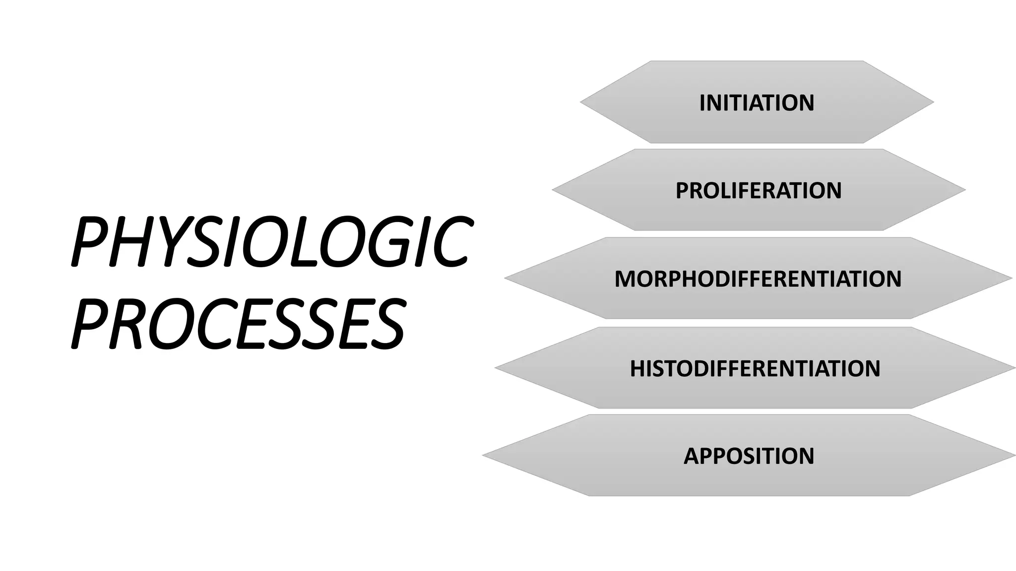 Tooth development along with clinical importance - Oral histology | PPTX