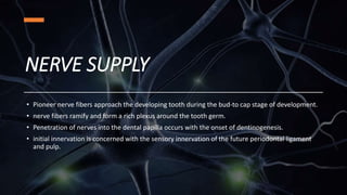 Tooth development along with clinical importance - Oral histology | PPTX