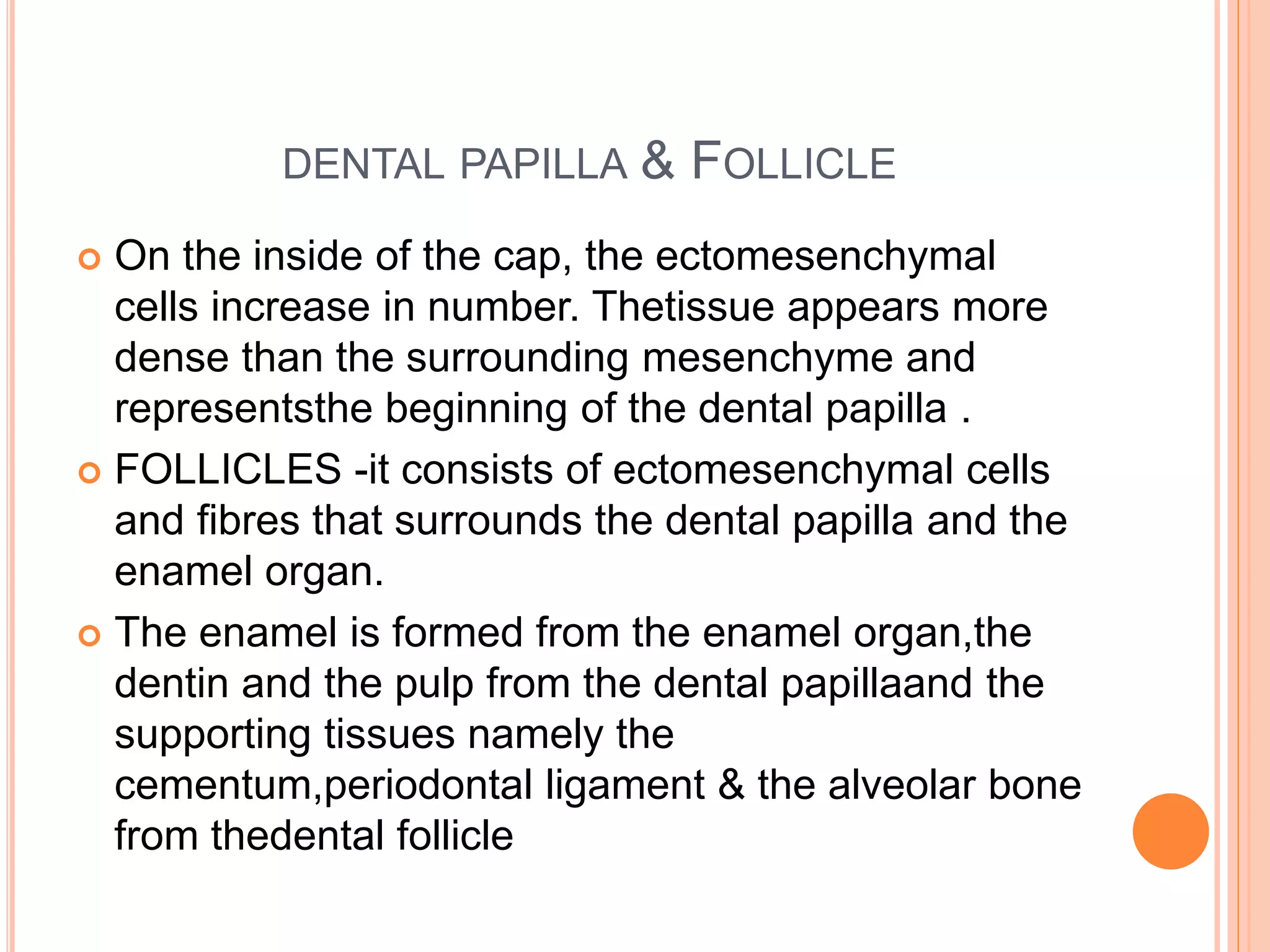 Development of Teeth by Dr.Smitha Rao | PPTX
