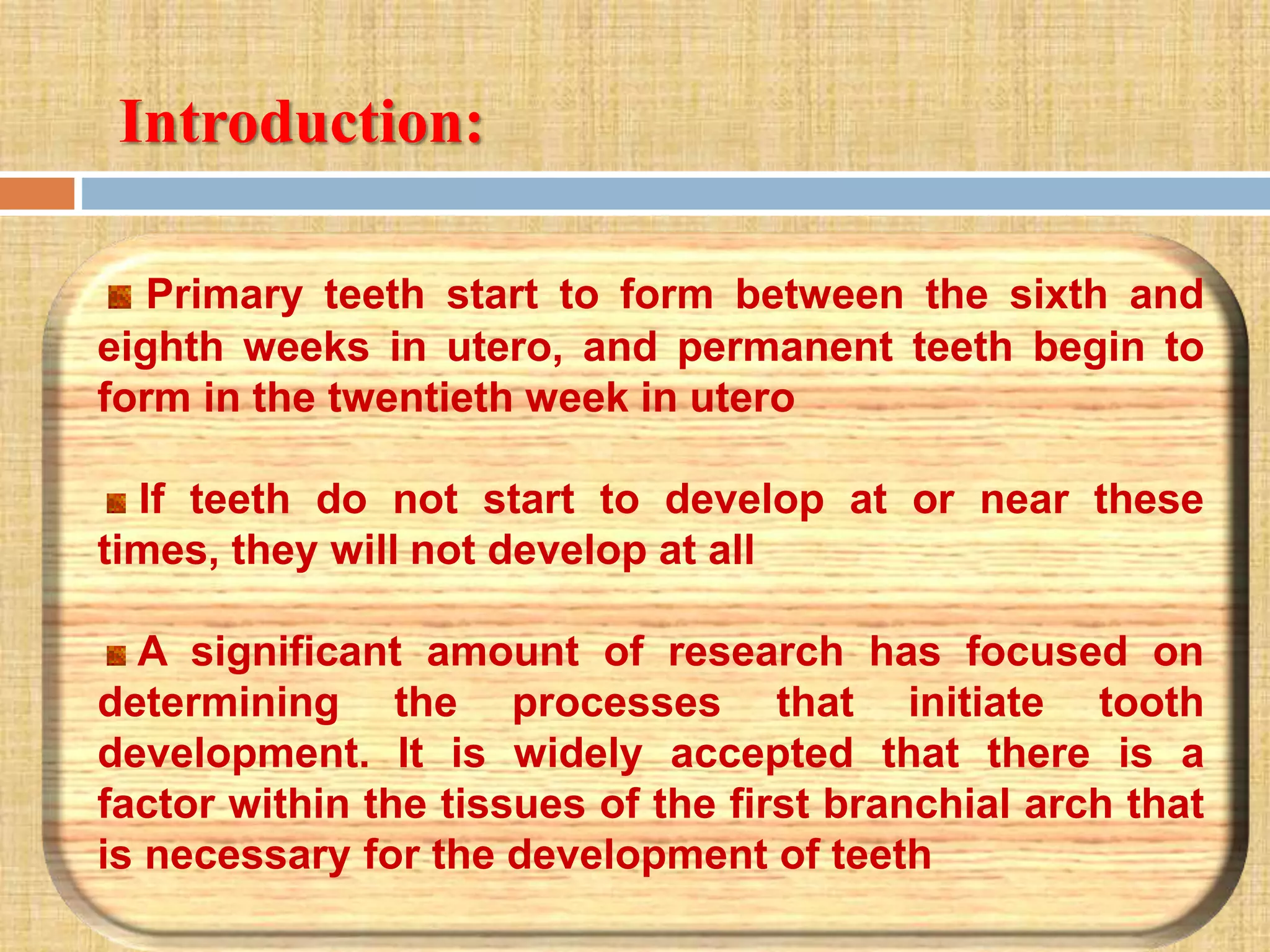 Development of Teeth by Dr.Smitha Rao | PPTX