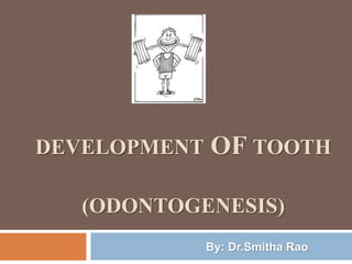 Development of Teeth by Dr.Smitha Rao | PPTX