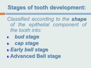 Development of Teeth by Dr.Smitha Rao | PPTX