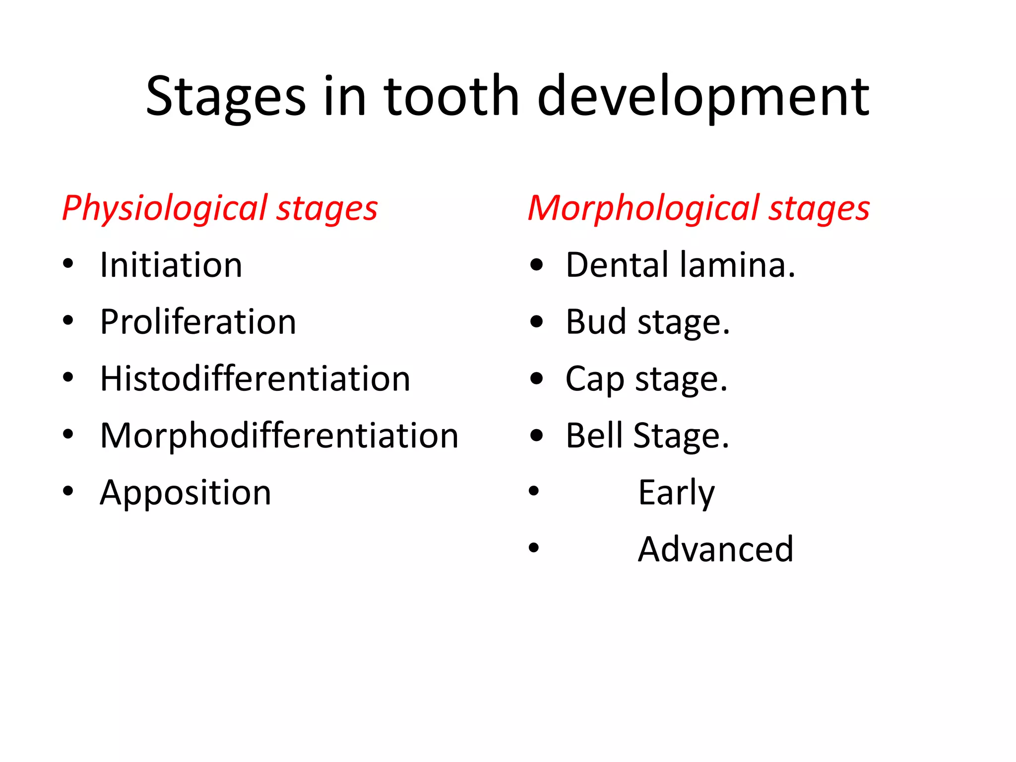 Tooth development | PPTX