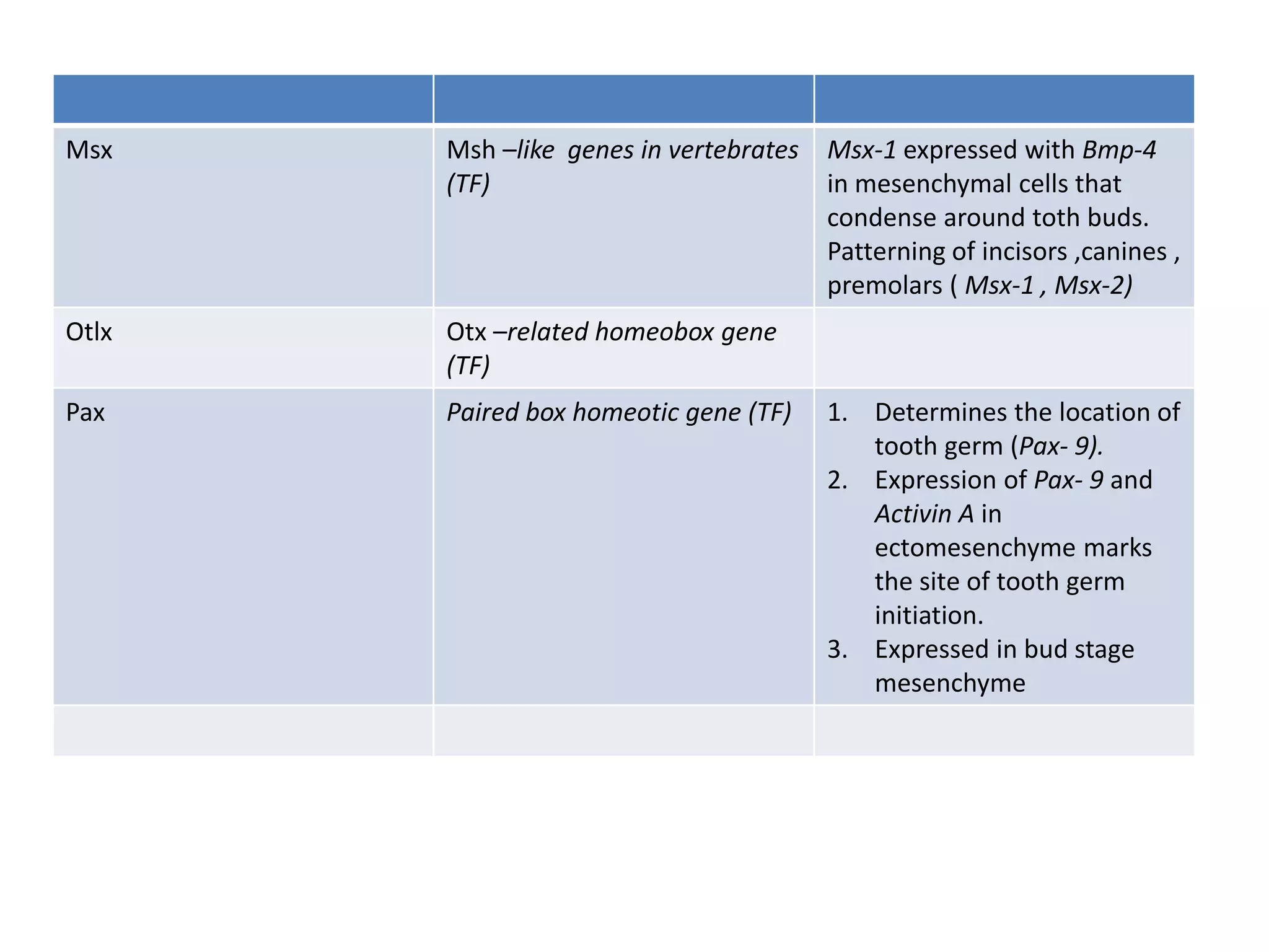 Tooth development | PPTX