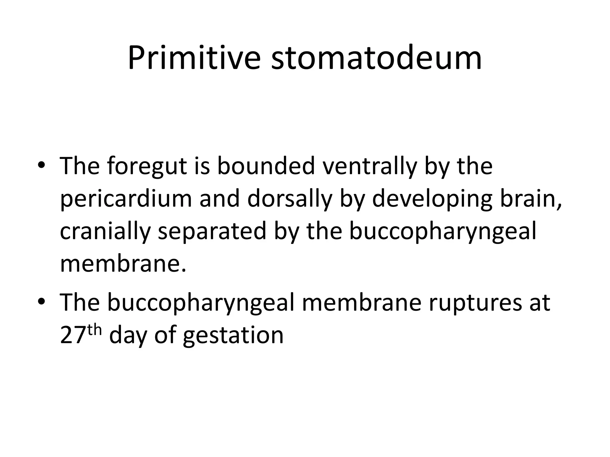 Tooth development | PPTX