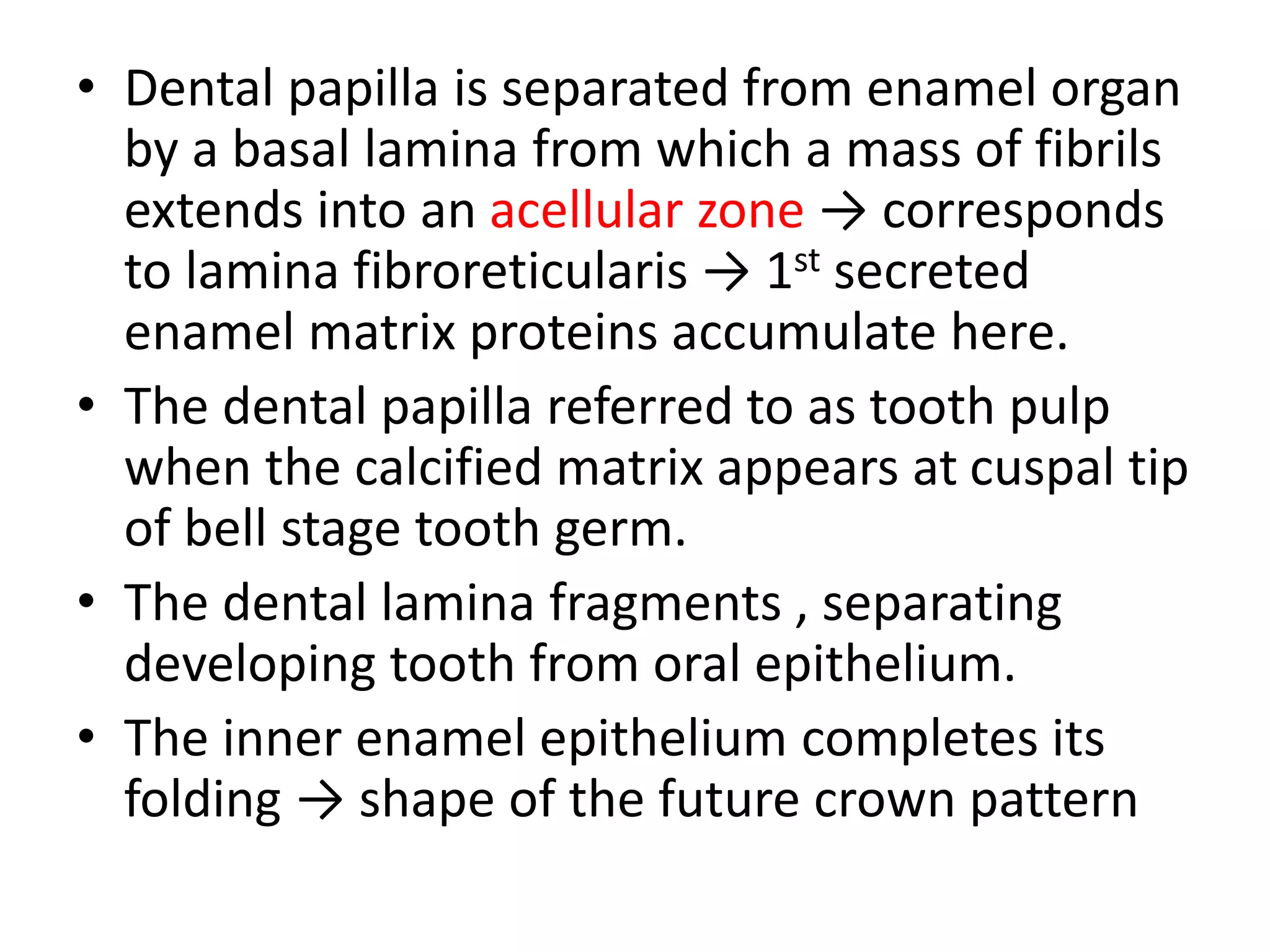 Tooth development | PPTX