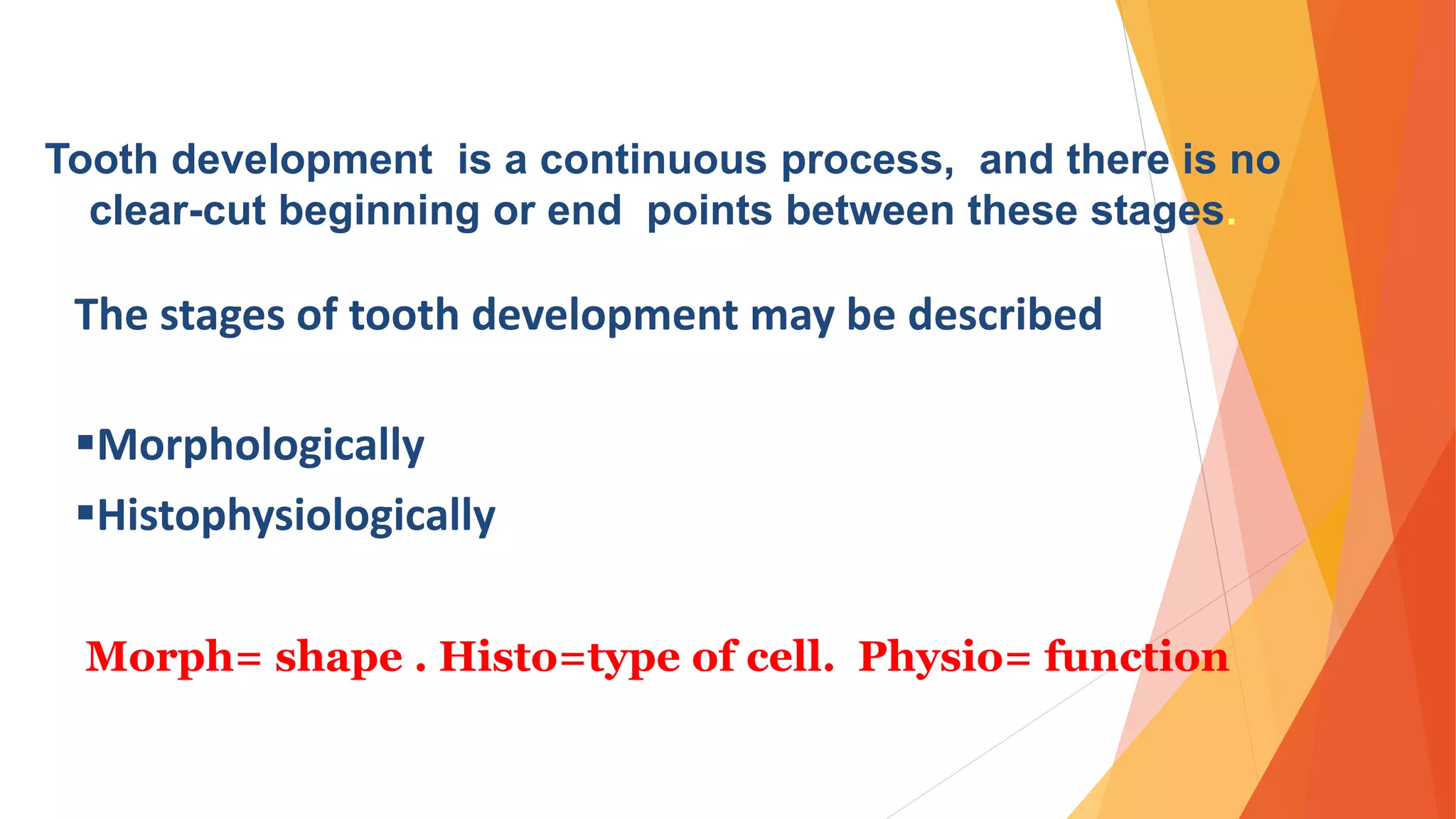 TOOTH DEV I BDS.pptx