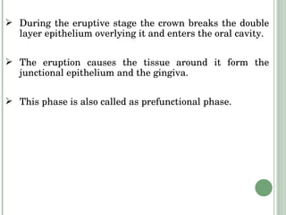Tooth eruption | PPT