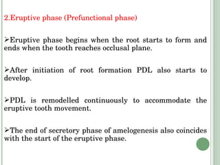 Tooth eruption | PPT