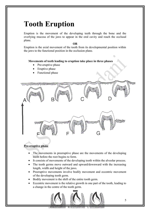 Tooth eruption | DOC