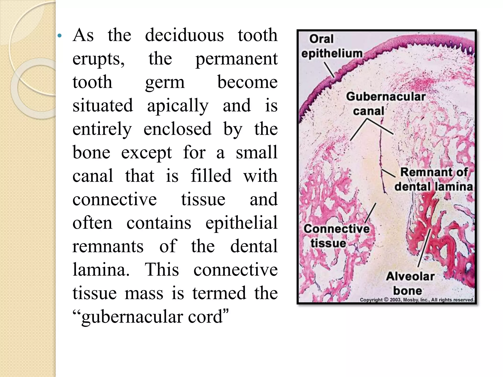 Tooth eruption | PPTX