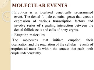 Tooth eruption | PPT