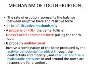 Tooth eruption | PPT