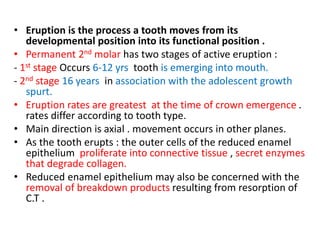 Tooth eruption | PPT