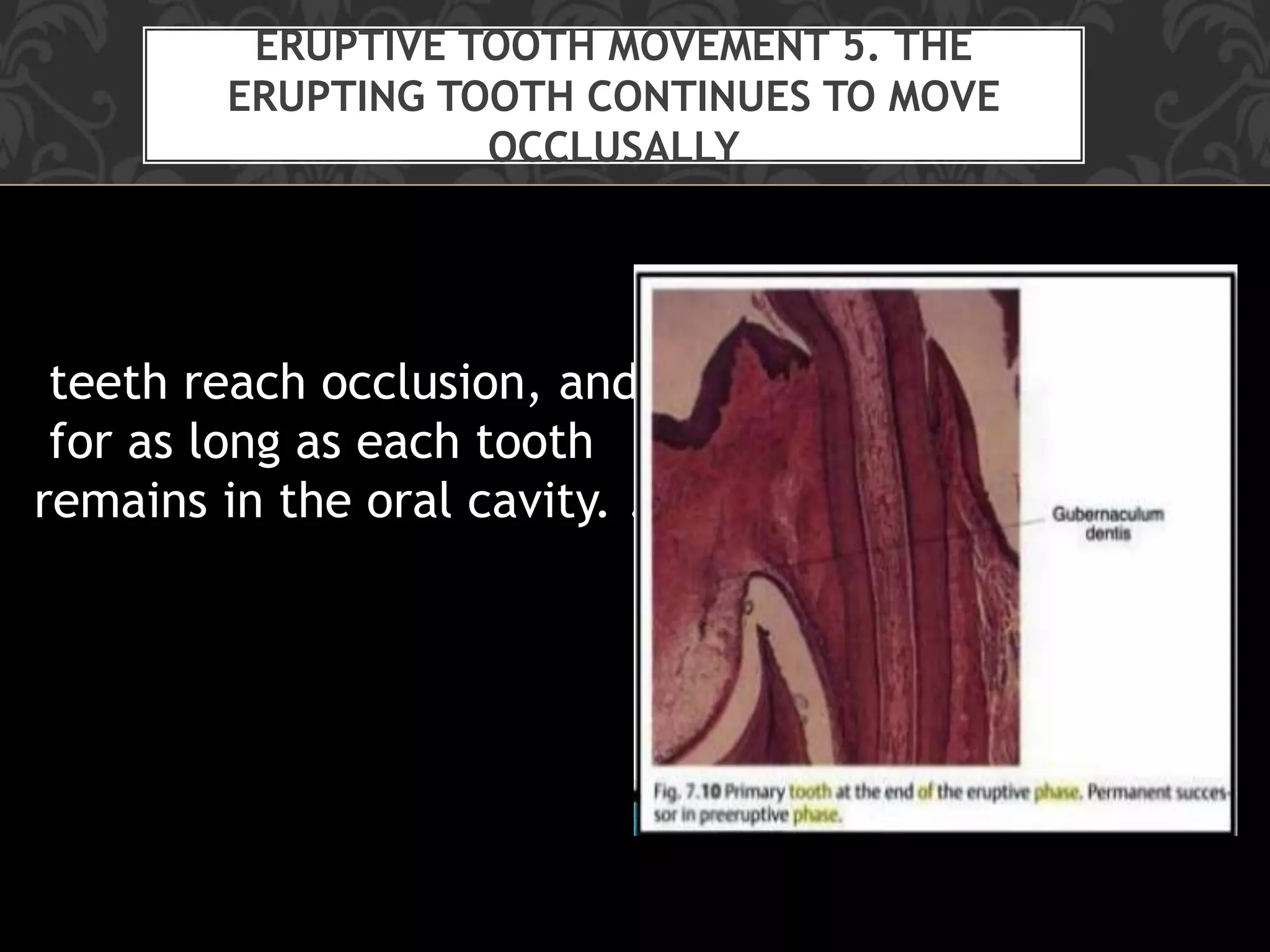 Tooth eruption | PPTX