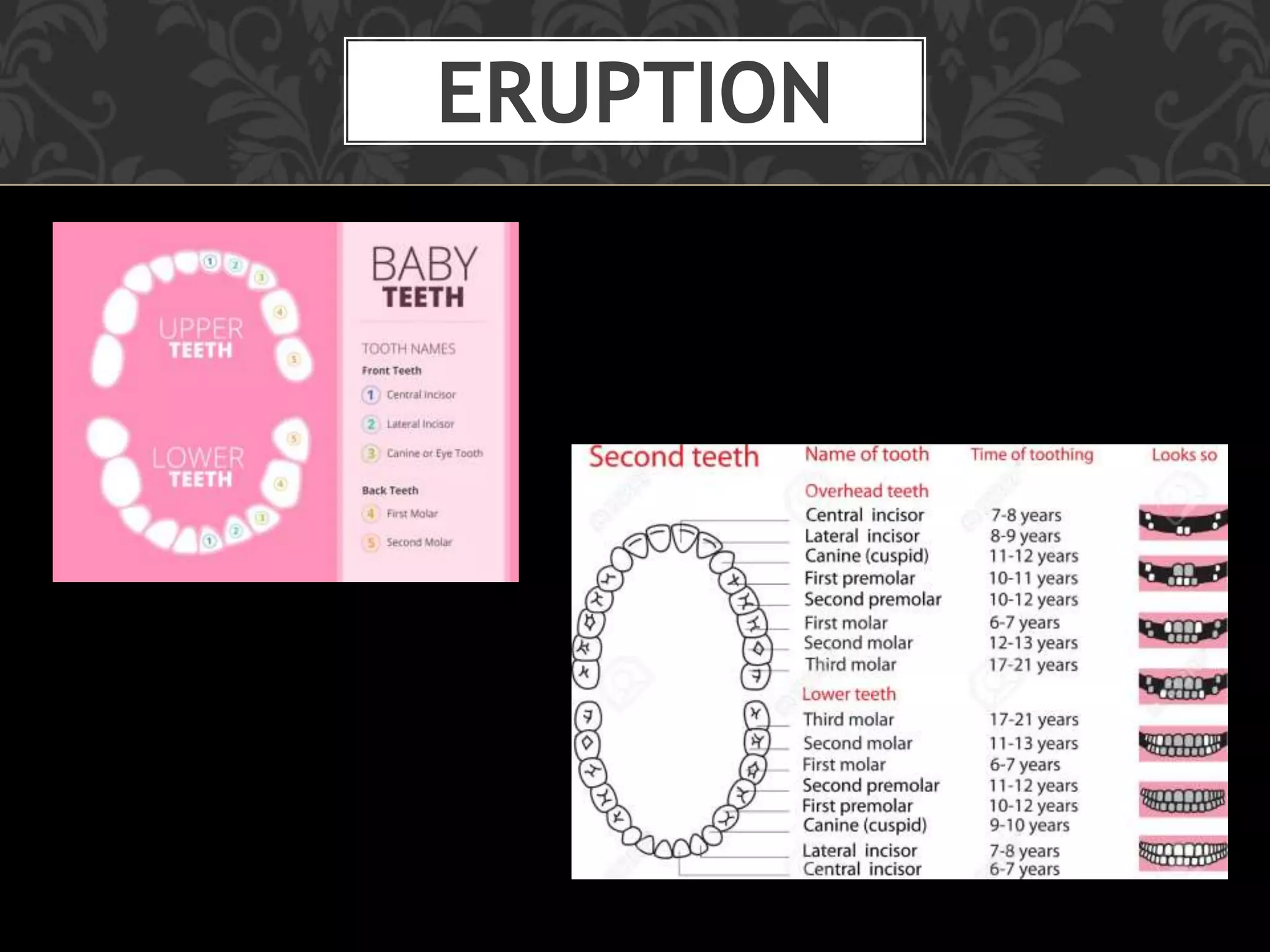 Tooth eruption | PPTX