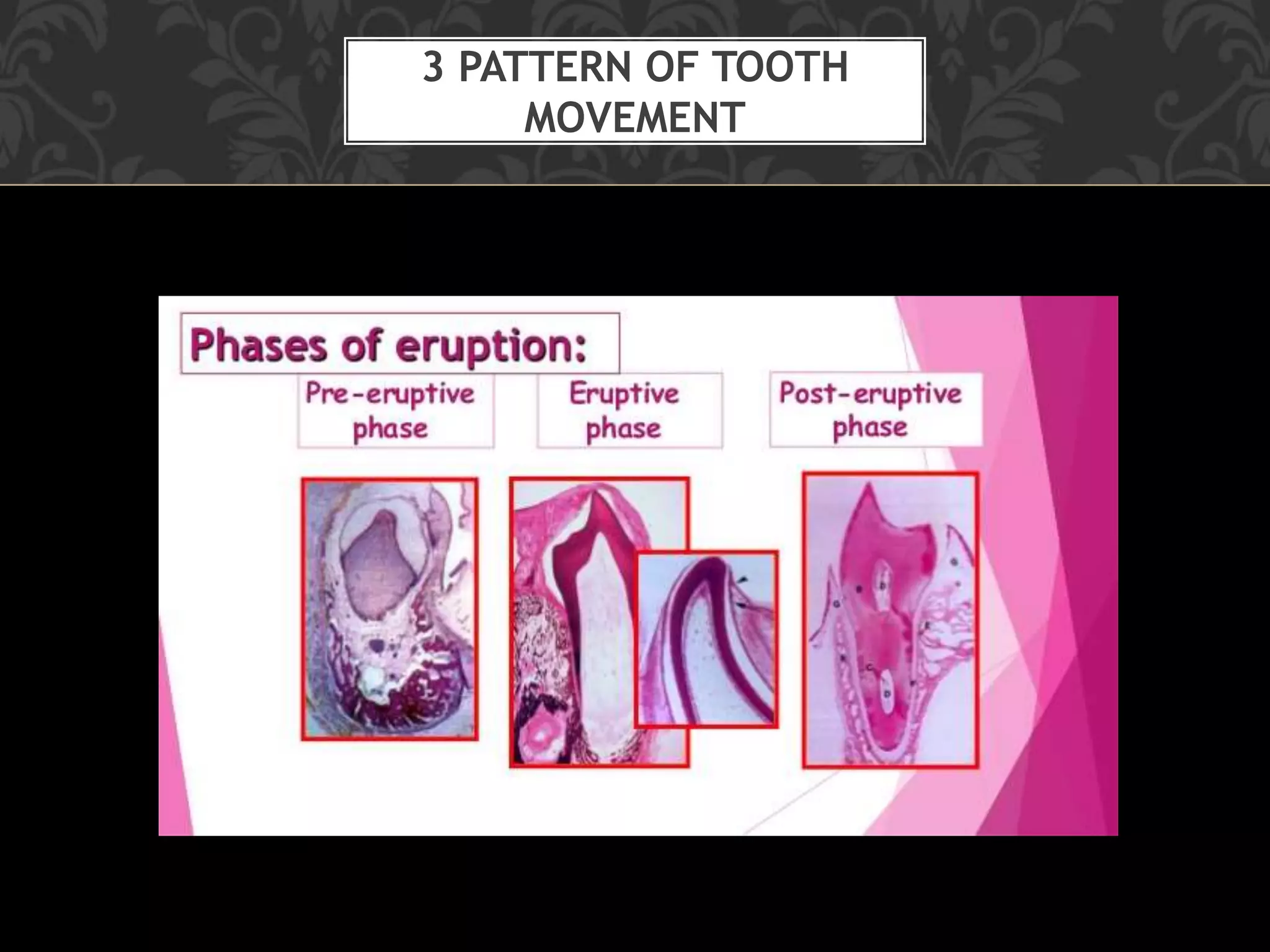 Tooth eruption | PPTX