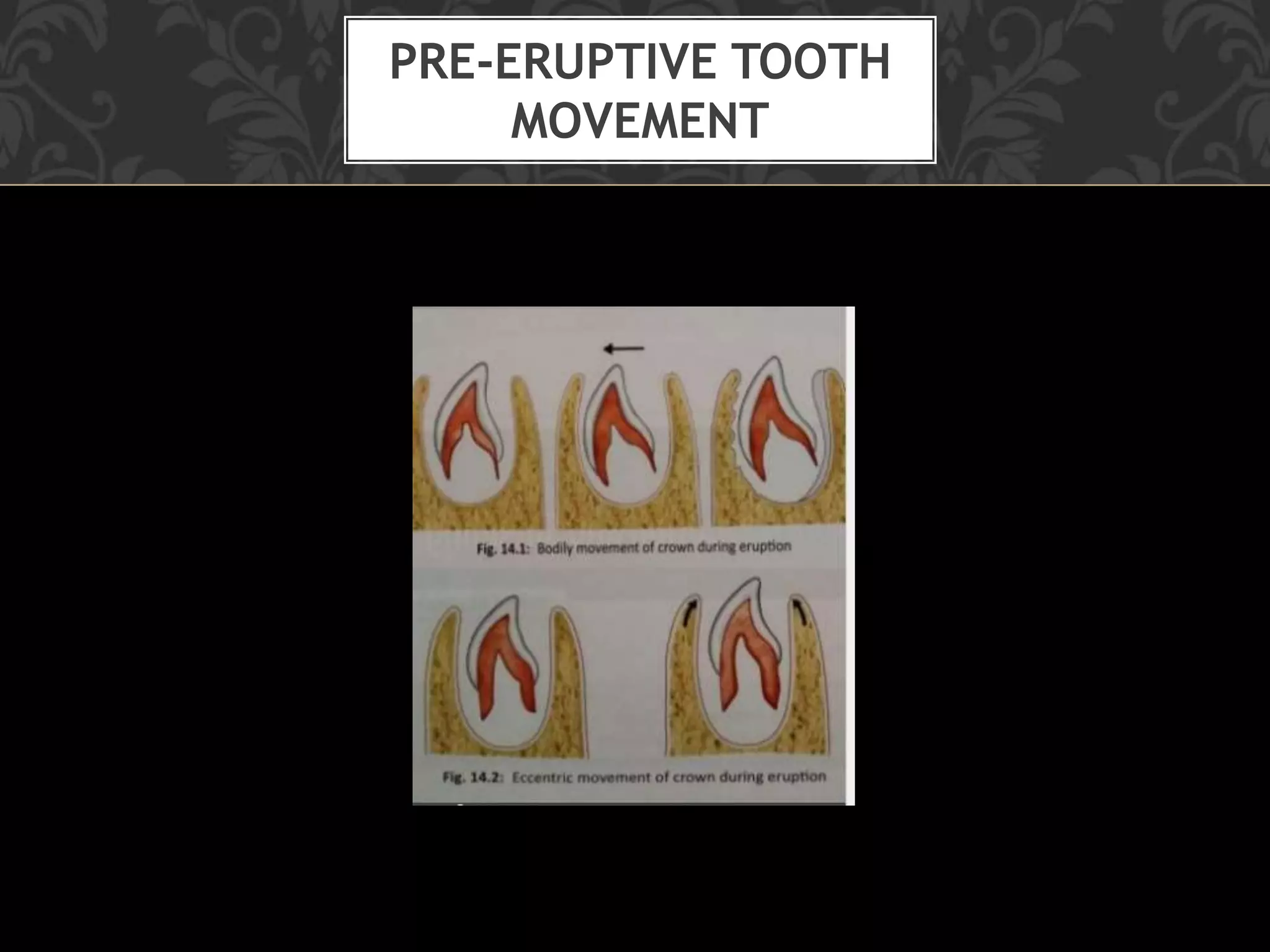 Tooth eruption | PPTX
