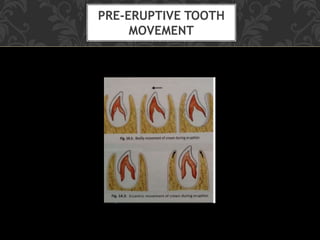 Tooth eruption | PPTX