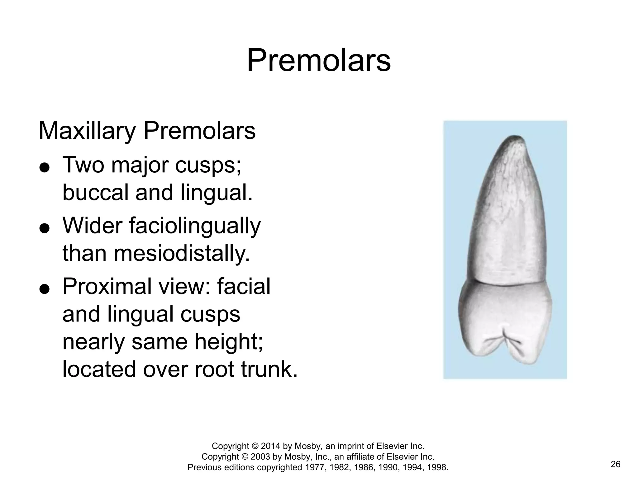 Oral Anatomy: Tooth identification | PPTX