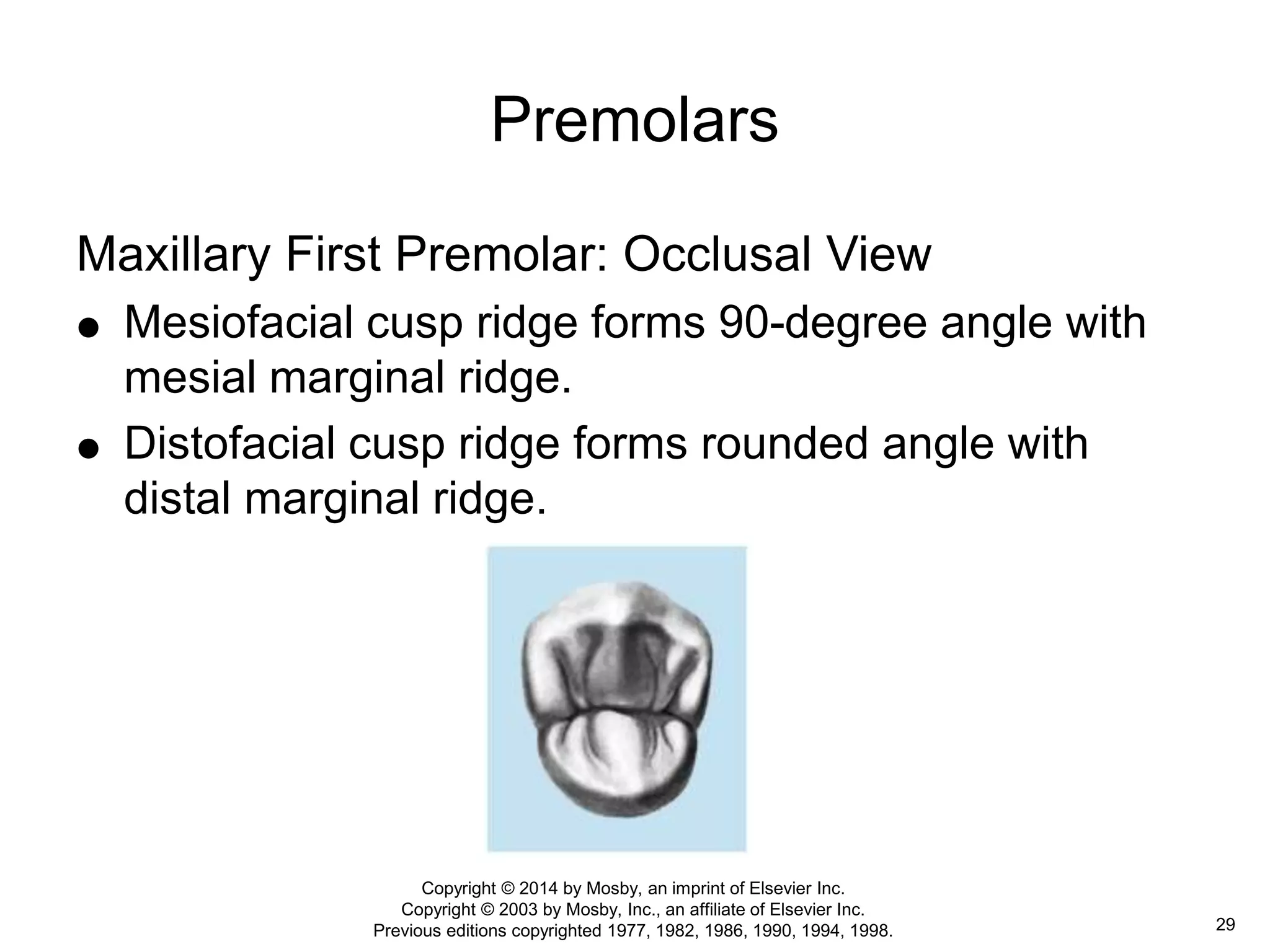 Oral Anatomy: Tooth identification | PPTX