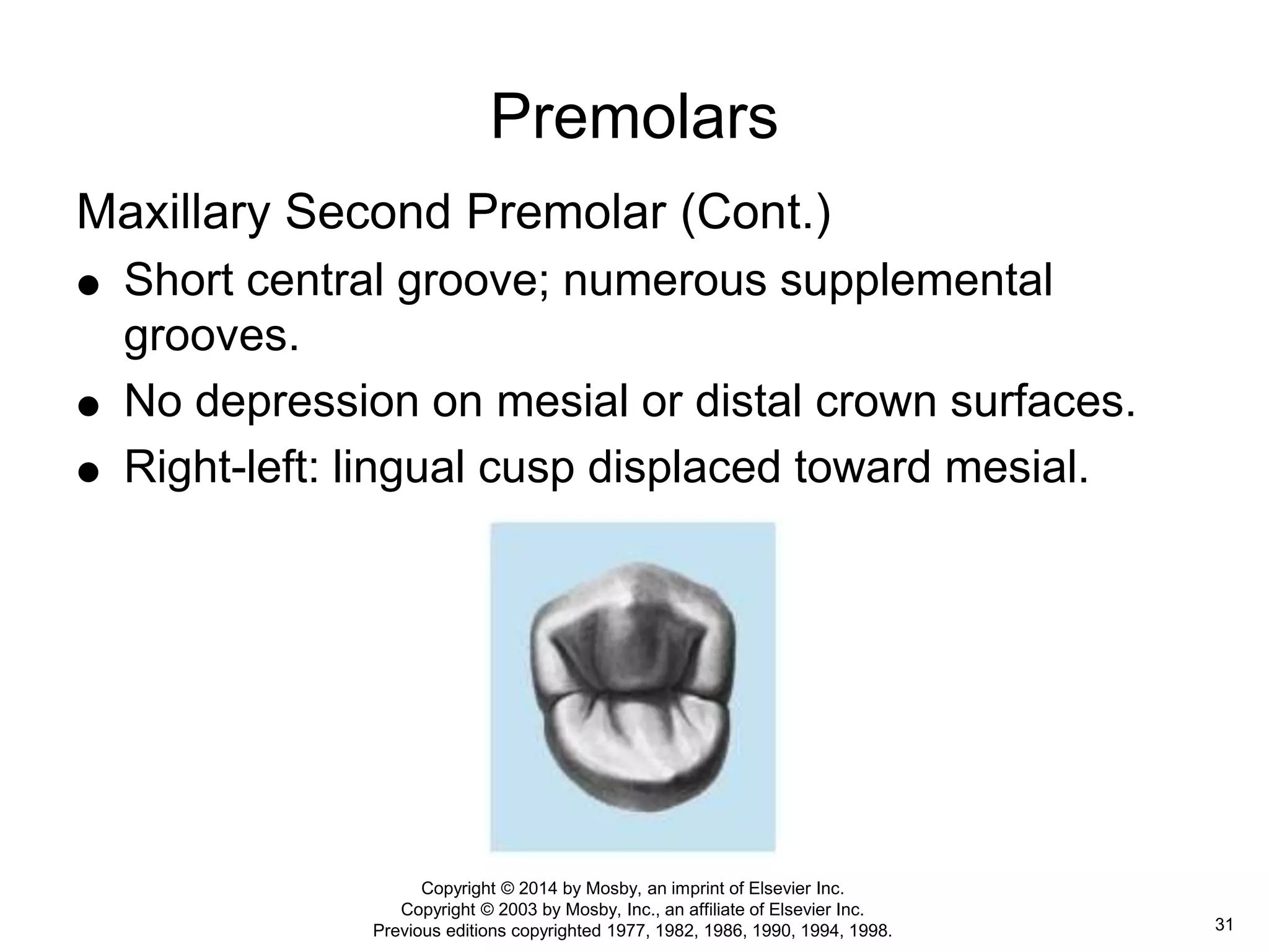 Oral Anatomy: Tooth identification | PPTX