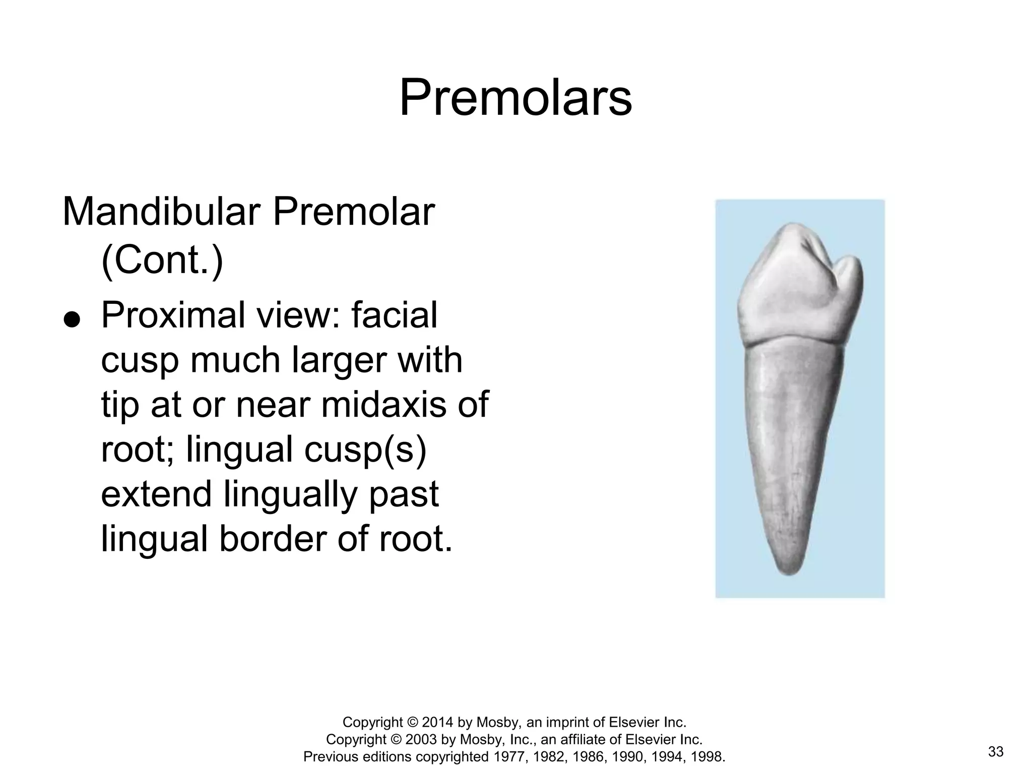 Oral Anatomy: Tooth identification | PPTX