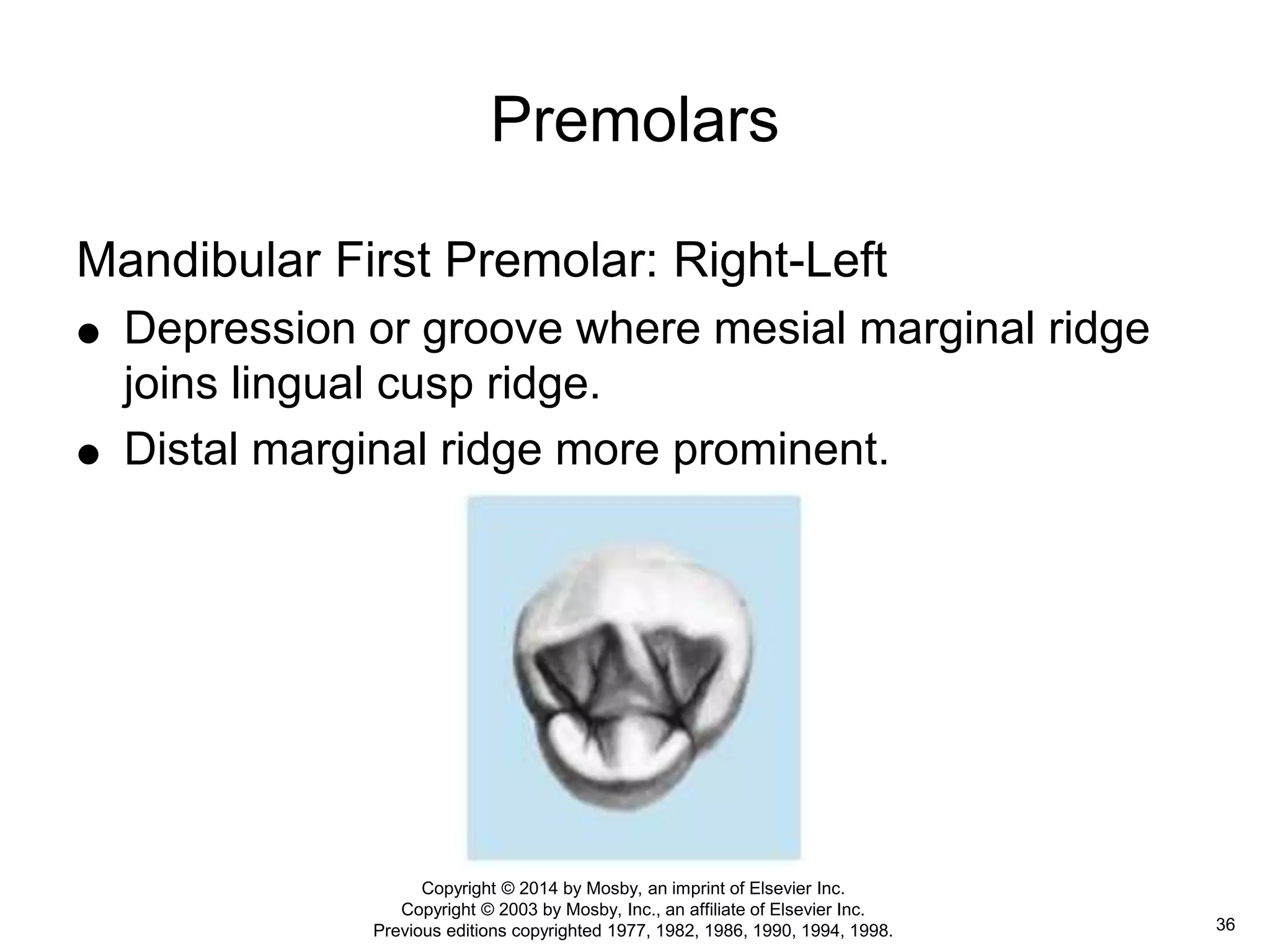 Oral Anatomy: Tooth identification | PPTX