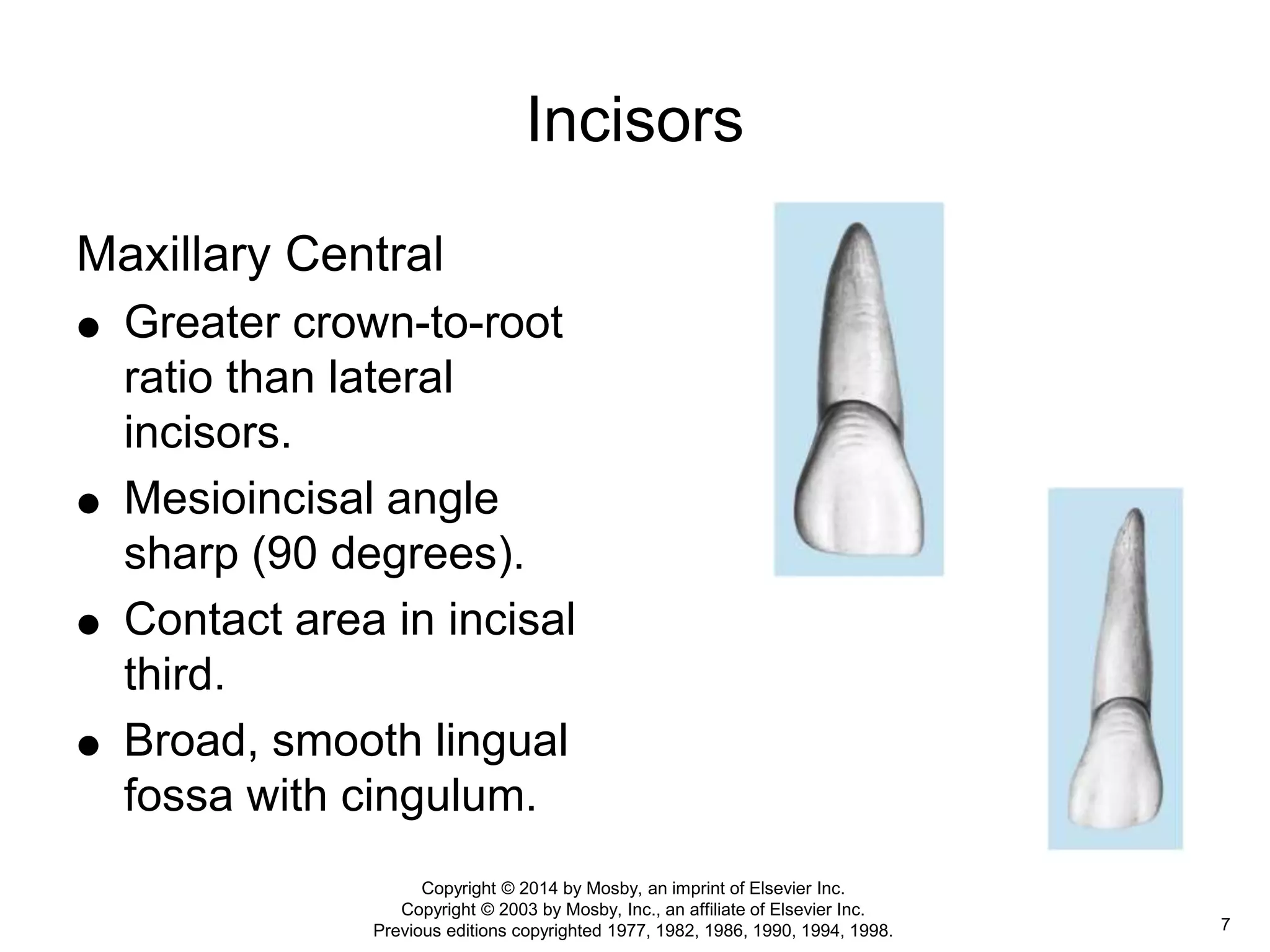 Oral Anatomy: Tooth identification | PPTX