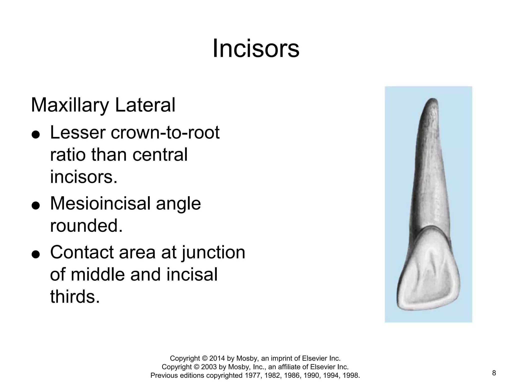 Oral Anatomy: Tooth identification | PPTX