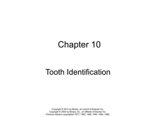 Oral Anatomy: Tooth identification | PPTX