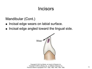 Oral Anatomy: Tooth identification | PPTX