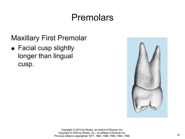 Oral Anatomy: Tooth identification | PPTX
