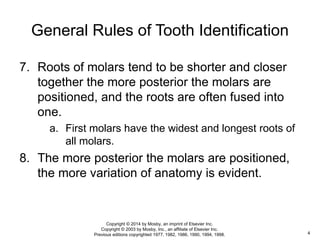 Oral Anatomy: Tooth identification | PPTX