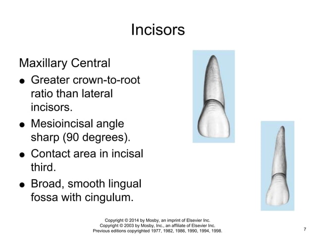 Oral Anatomy: Tooth identification | PPTX