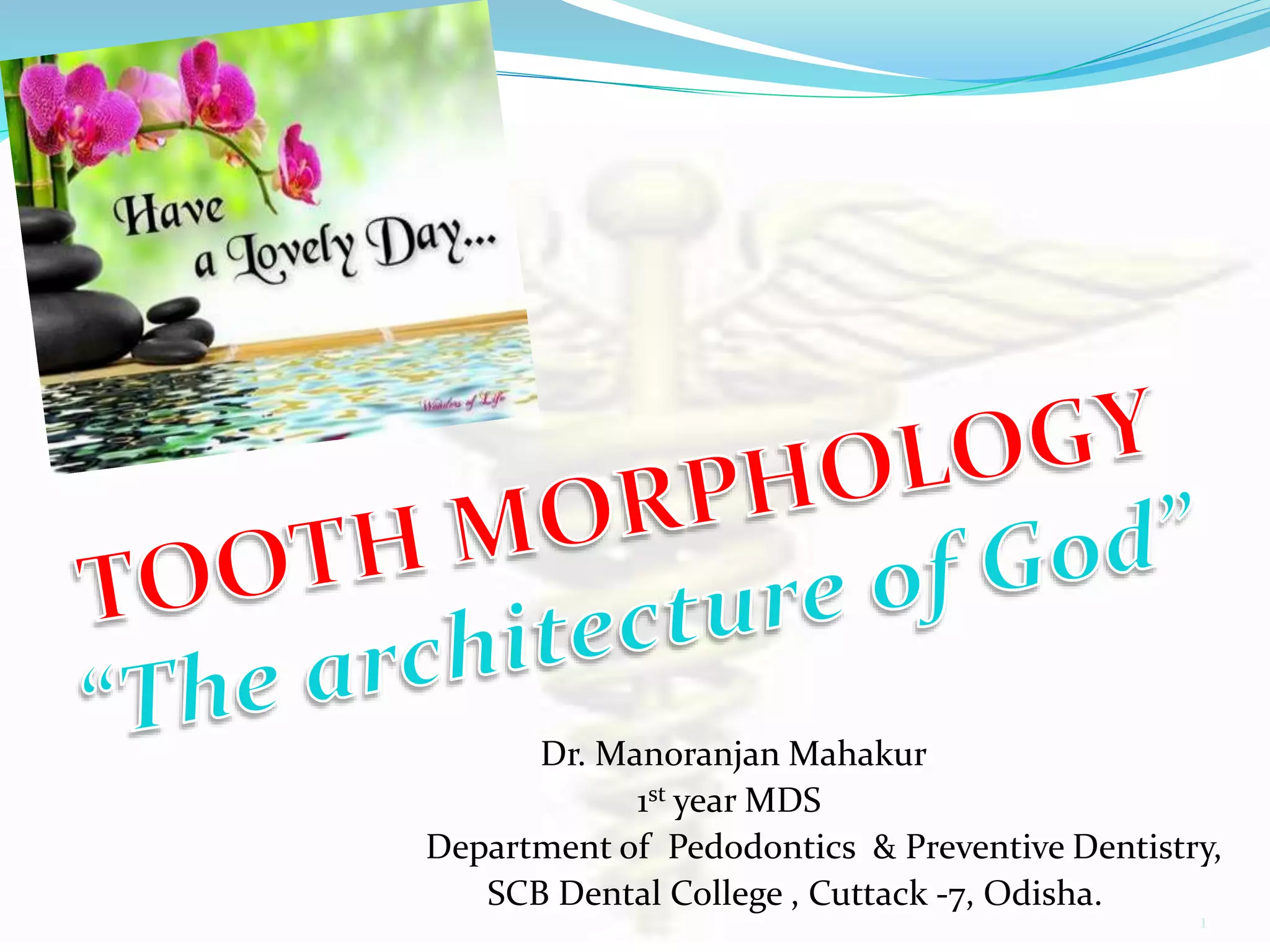 Tooth morphology...the architecture of god | PPTX
