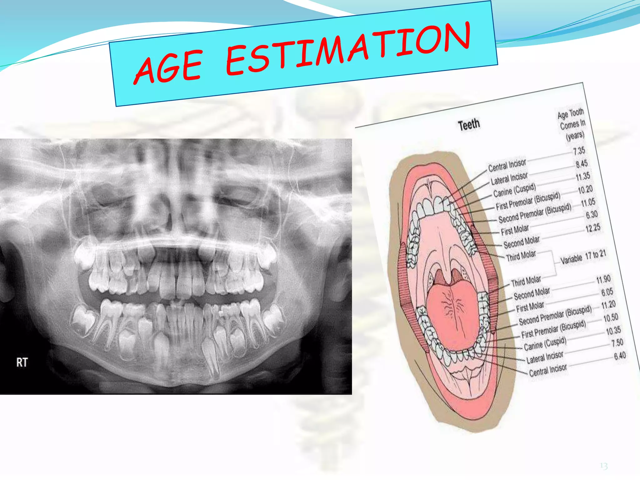 Tooth morphology...the architecture of god | PPTX