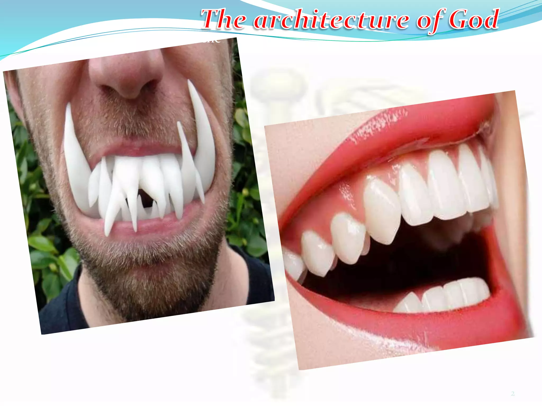 Tooth morphology...the architecture of god | PPTX
