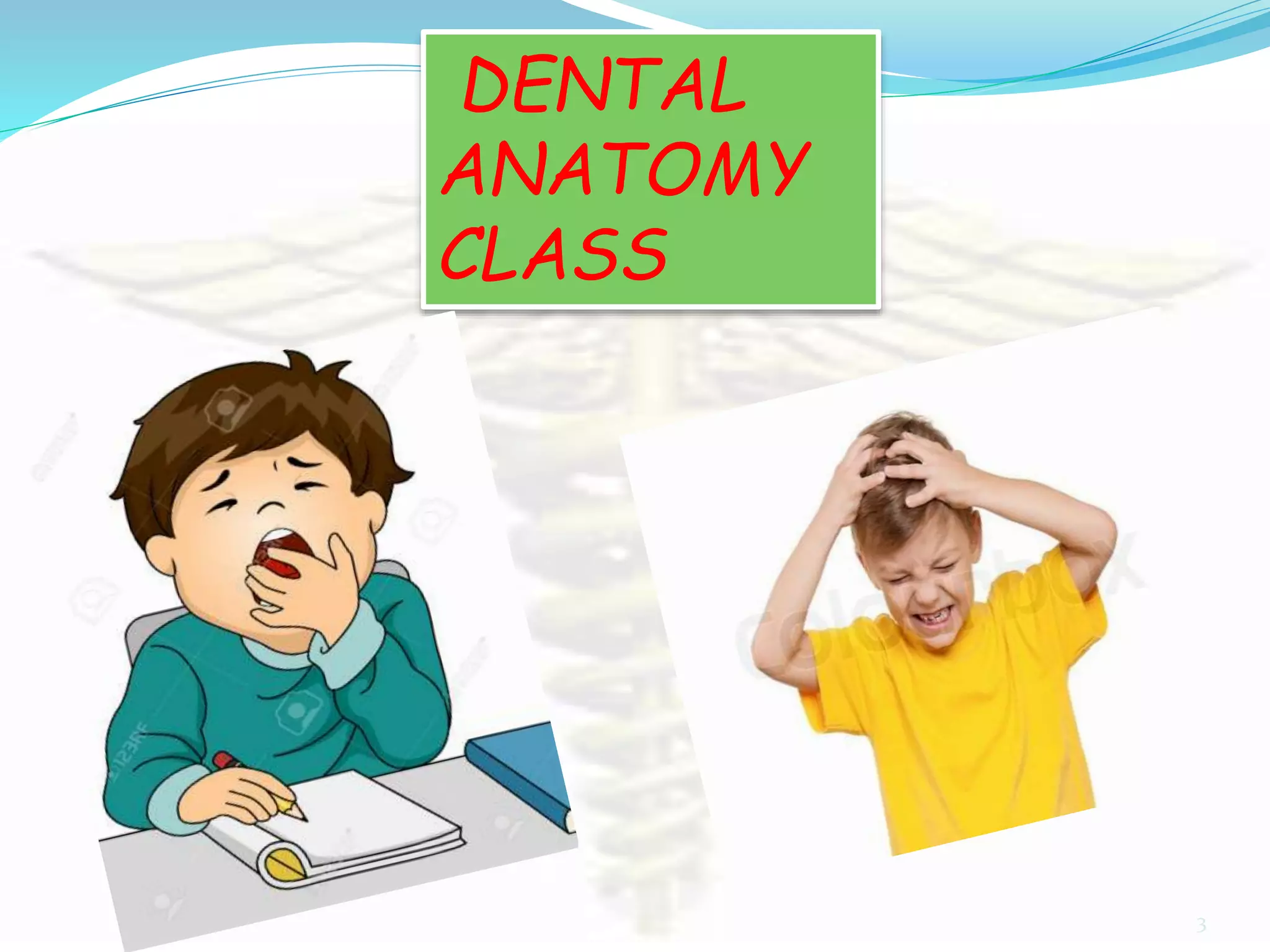 Tooth morphology...the architecture of god | PPTX